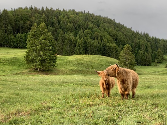 Highlands du Haut-Jura