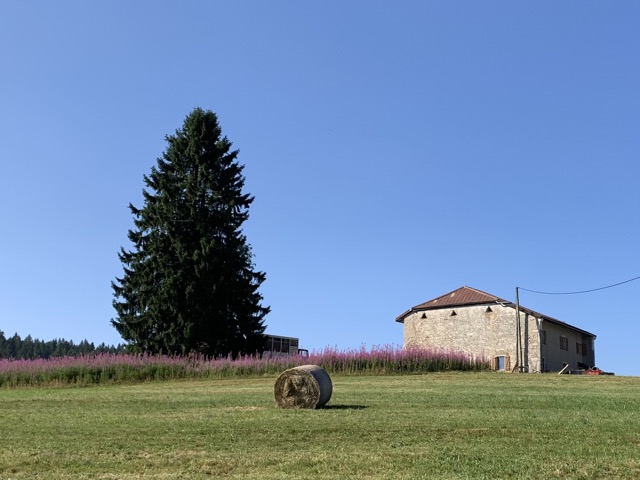 Highlands du Haut-Jura