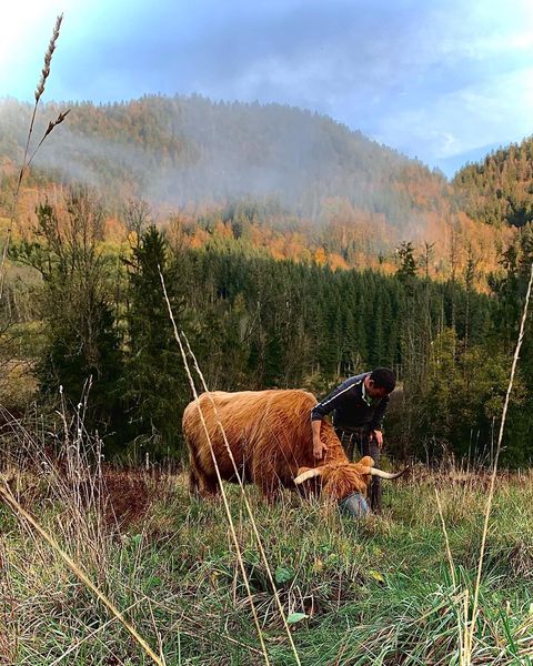 Highlands du Haut-Jura